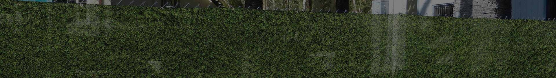 Shop Scenic Windscreen Murals | Free Shipping